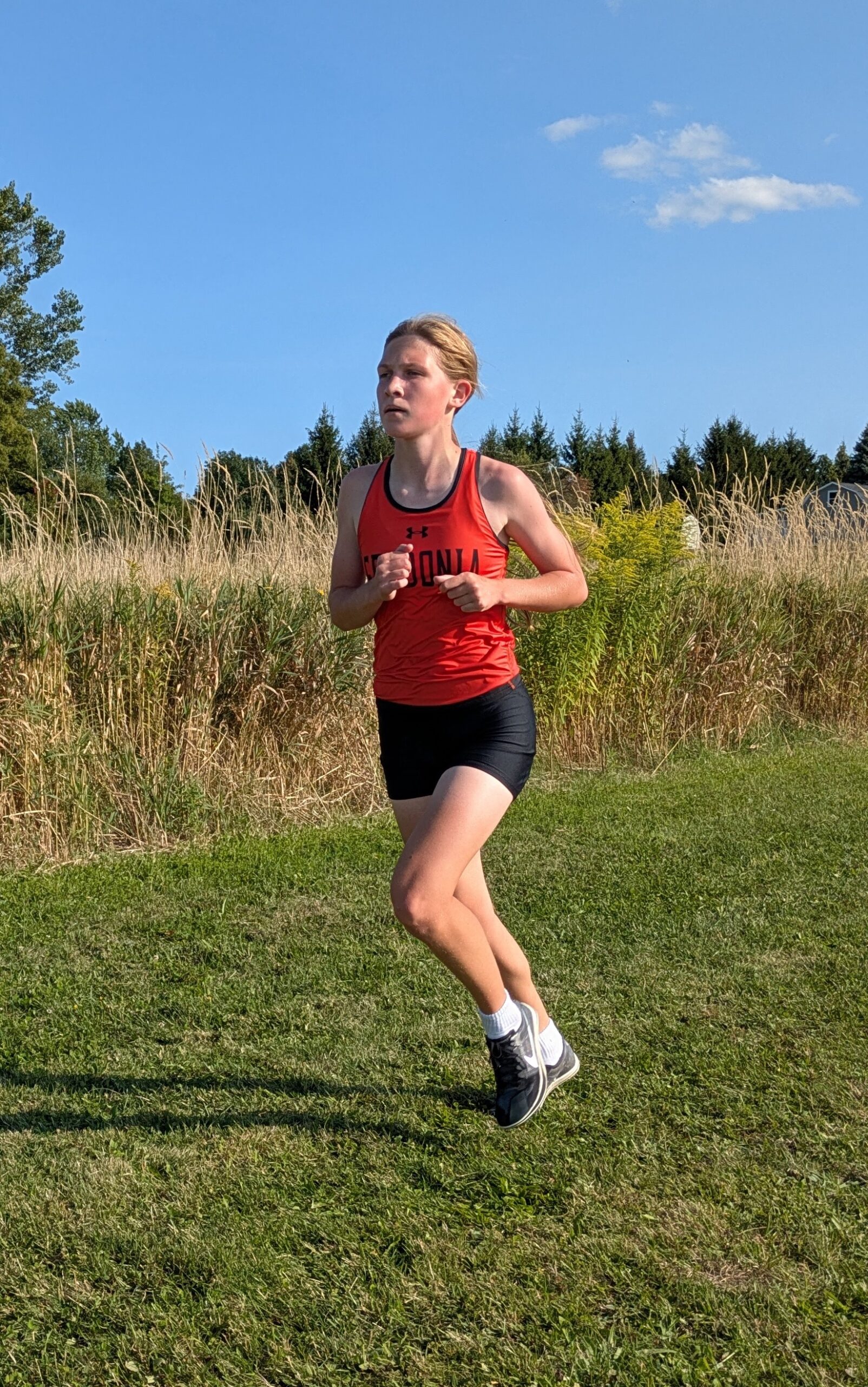 Wolfpack Post XC Victories | News, Sports, Jobs - Post Journal